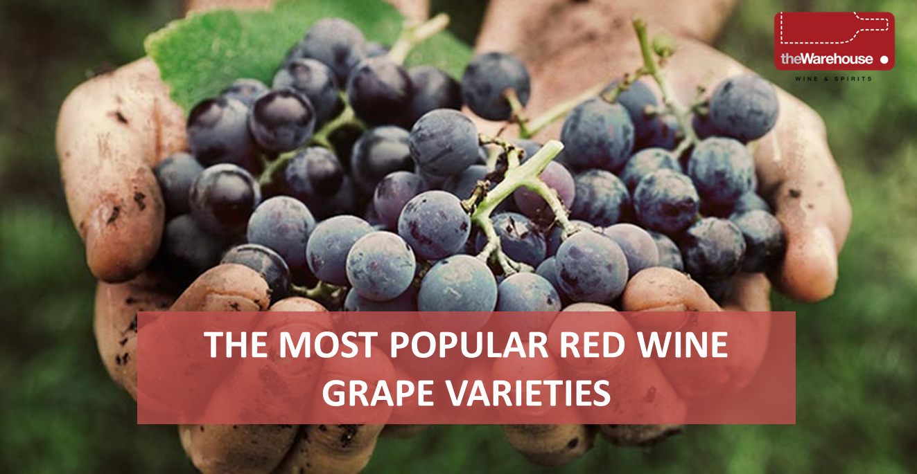 The Most Popular Red Wine Grape Varieties