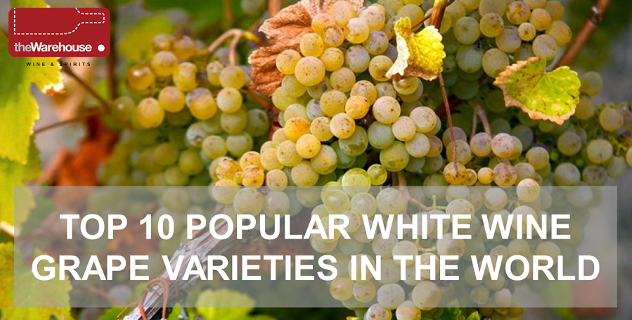 Top 10 Popular White Wine Grape Varieties In The World
